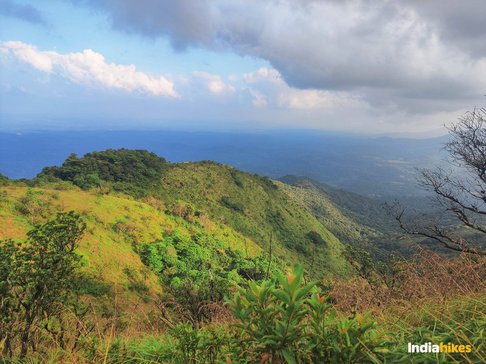 Coorg Nelji Hill Trek - A Hidden Trek Amidst Coorg's Iconic Forests and ...