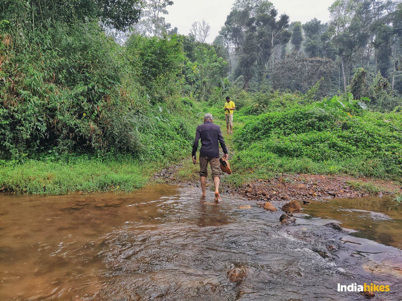 Coorg Nelji Hill Trek - A Hidden Trek Amidst Coorg's Iconic Forests and ...