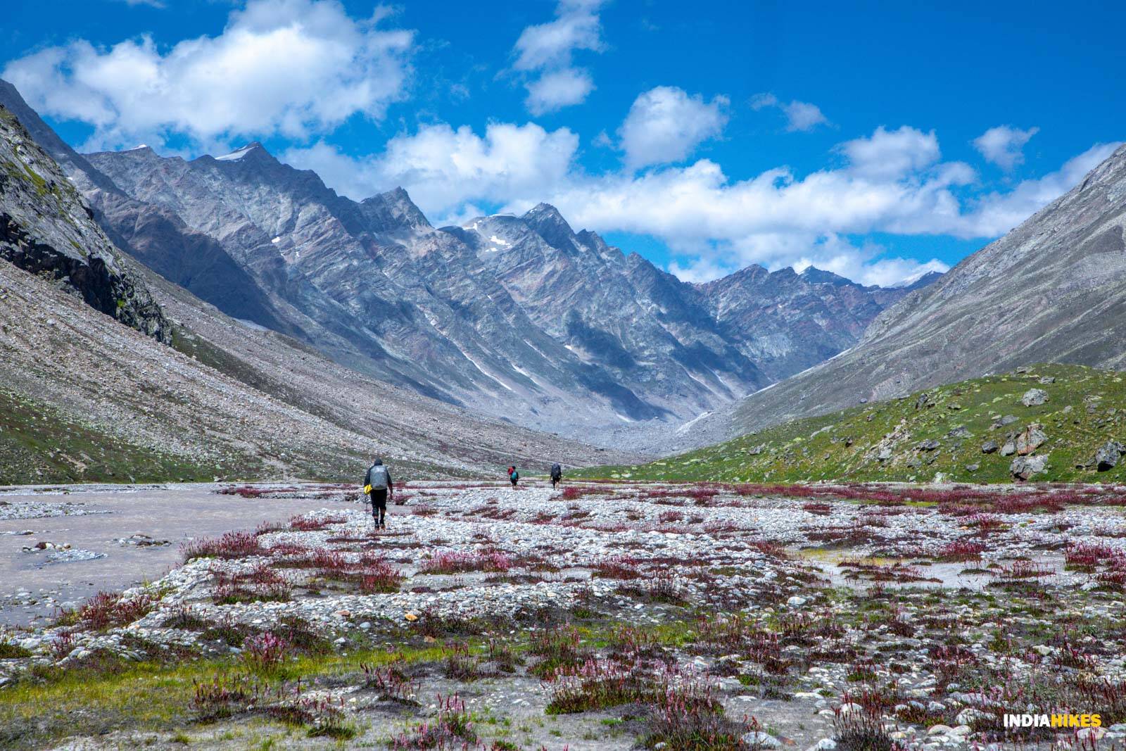 Miyar Valley 2024 - The Trek that takes you to the Heart of Lahaul ...