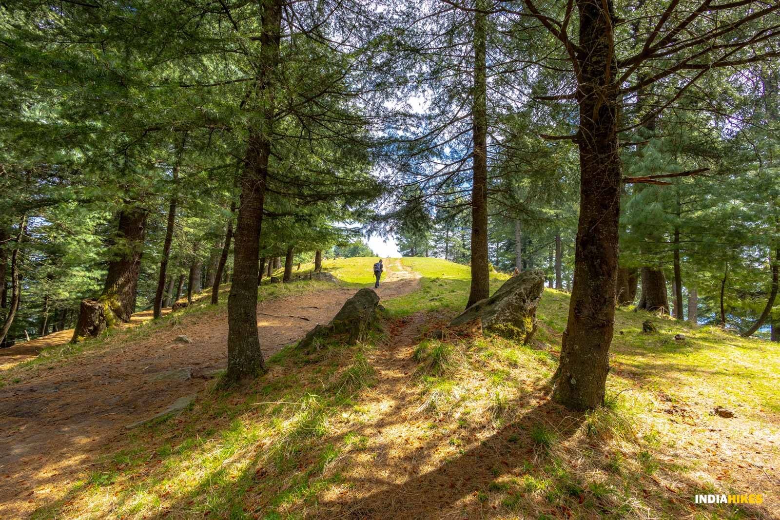 Bijli Mahadev Trek 2024