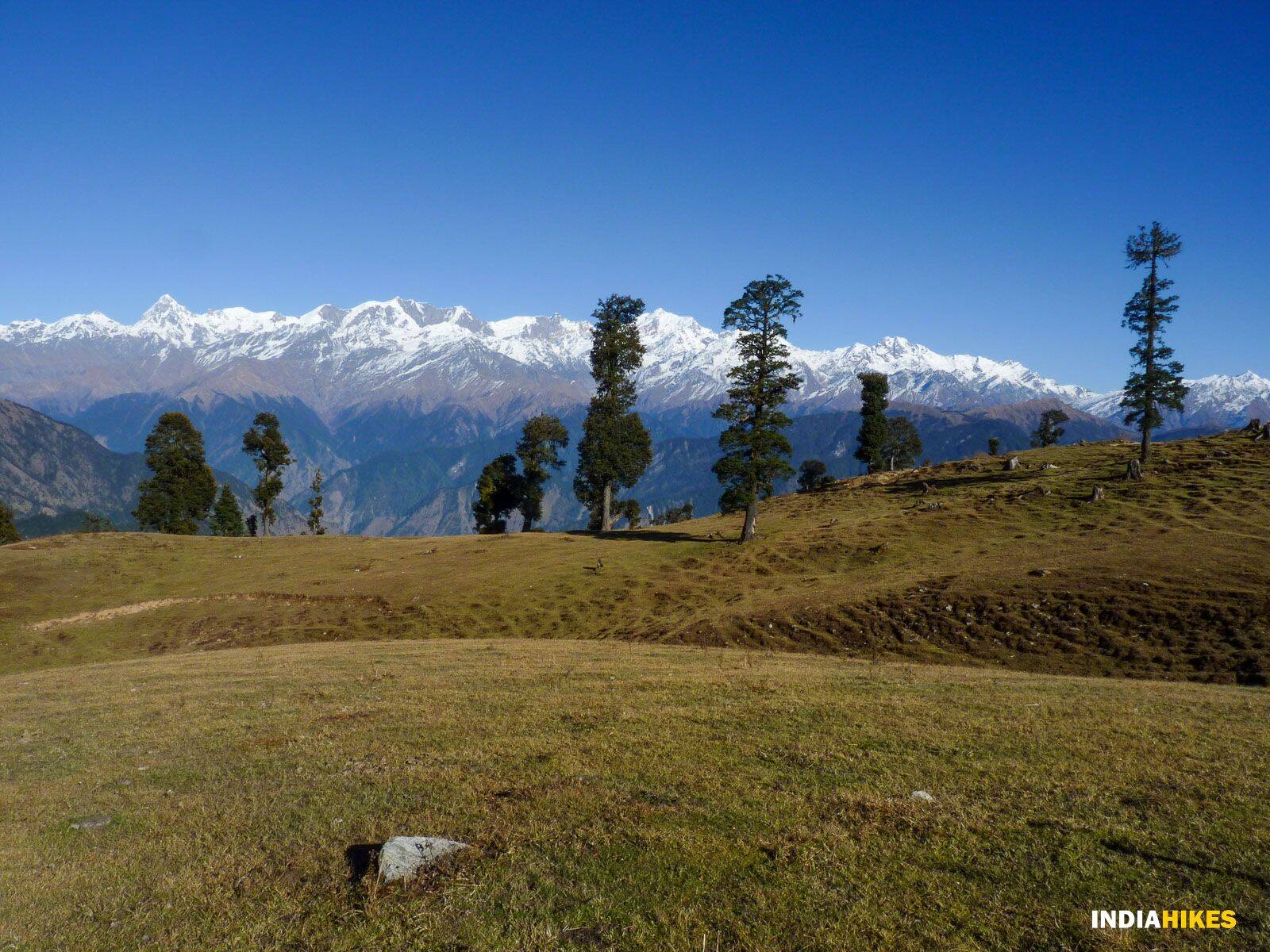 Surya Top Trek 2024 - The Grandest Meadow trek with the Best Views of ...