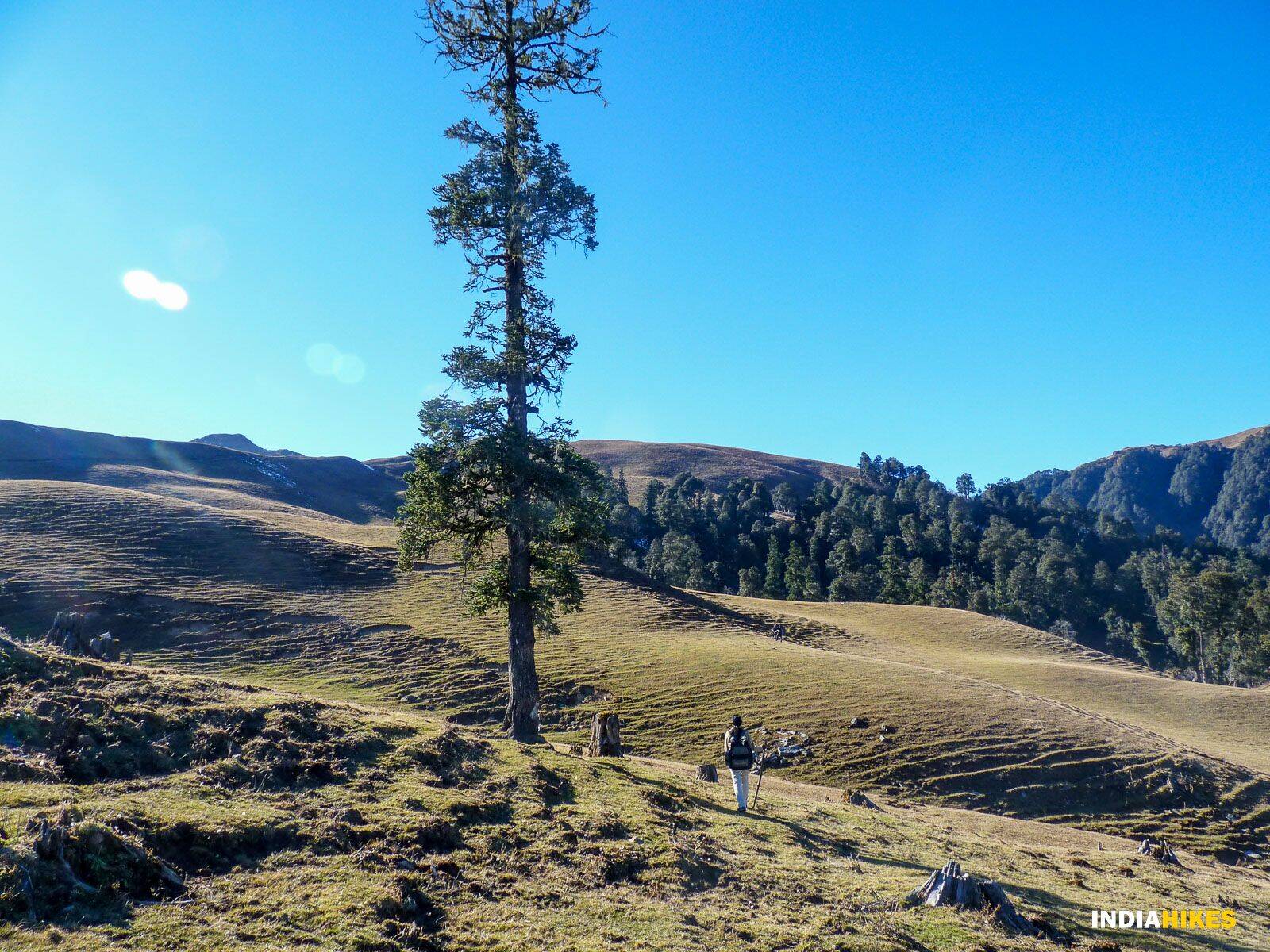 Surya Top Trek 2024 - The Grandest Meadow trek with the Best Views of ...