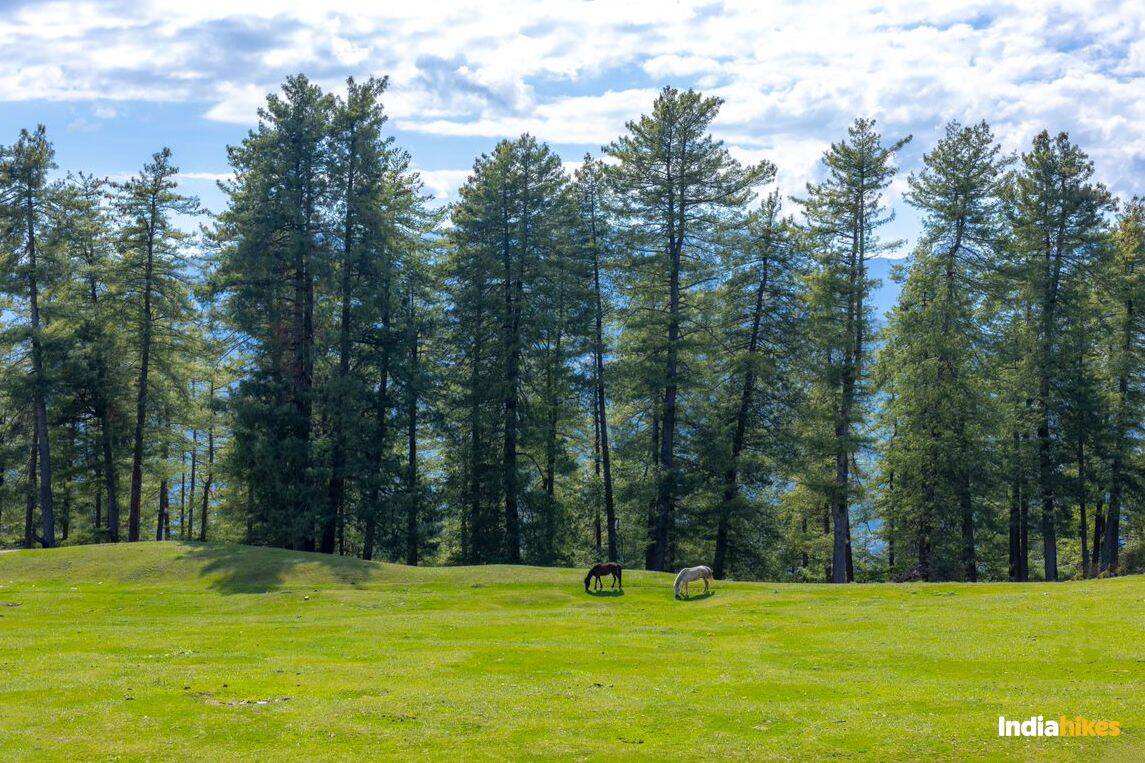 Why Bijli Mahadev is a Famous Cultural Icon in Kullu