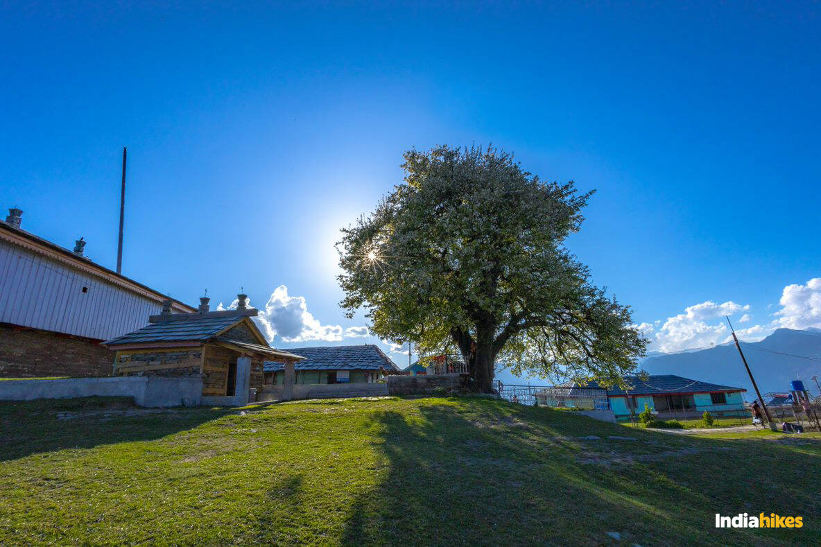 Why Bijli Mahadev is a Famous Cultural Icon in Kullu