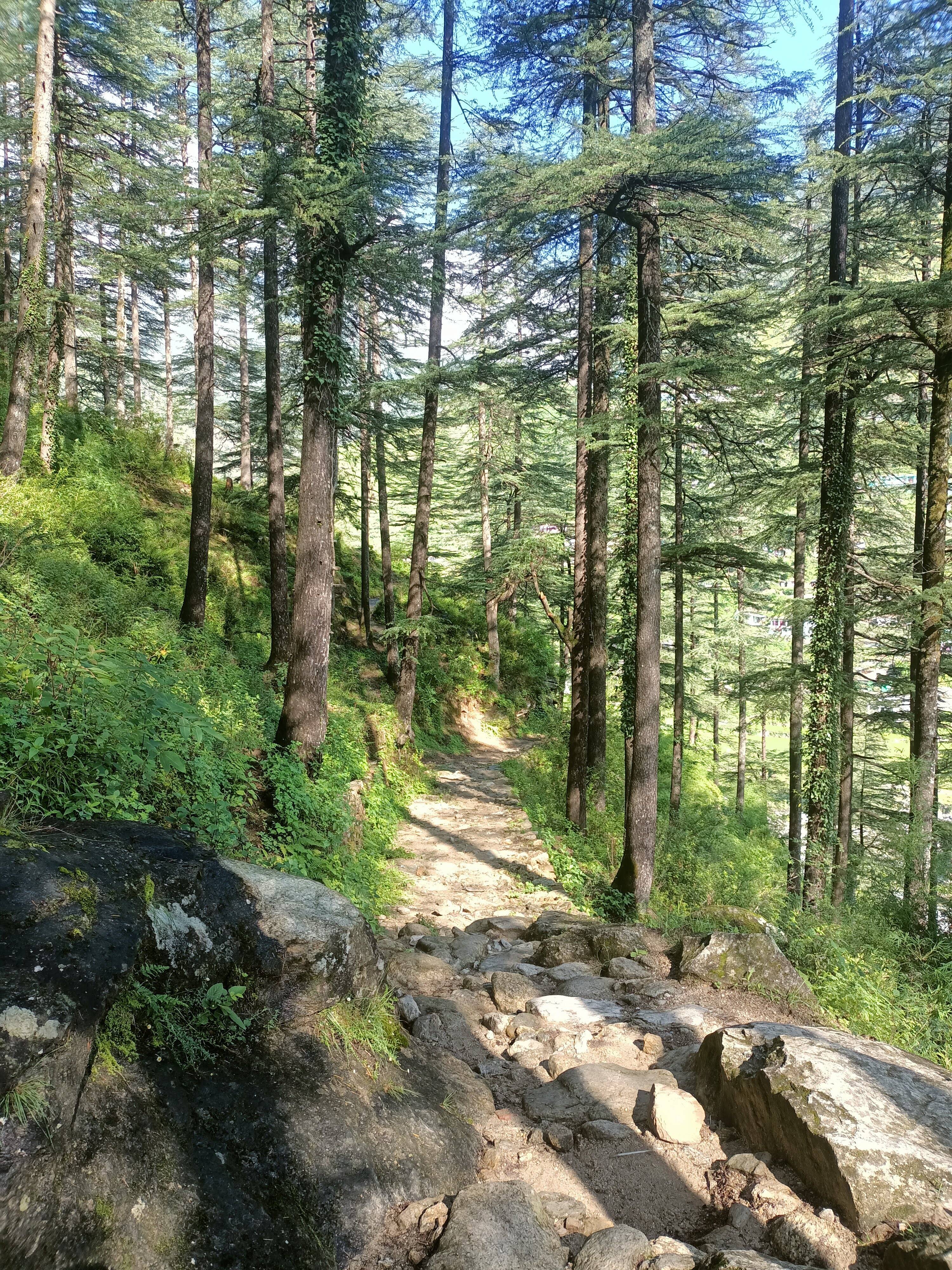 Budha Kedar - Trek to the Biggest Shivling of North India