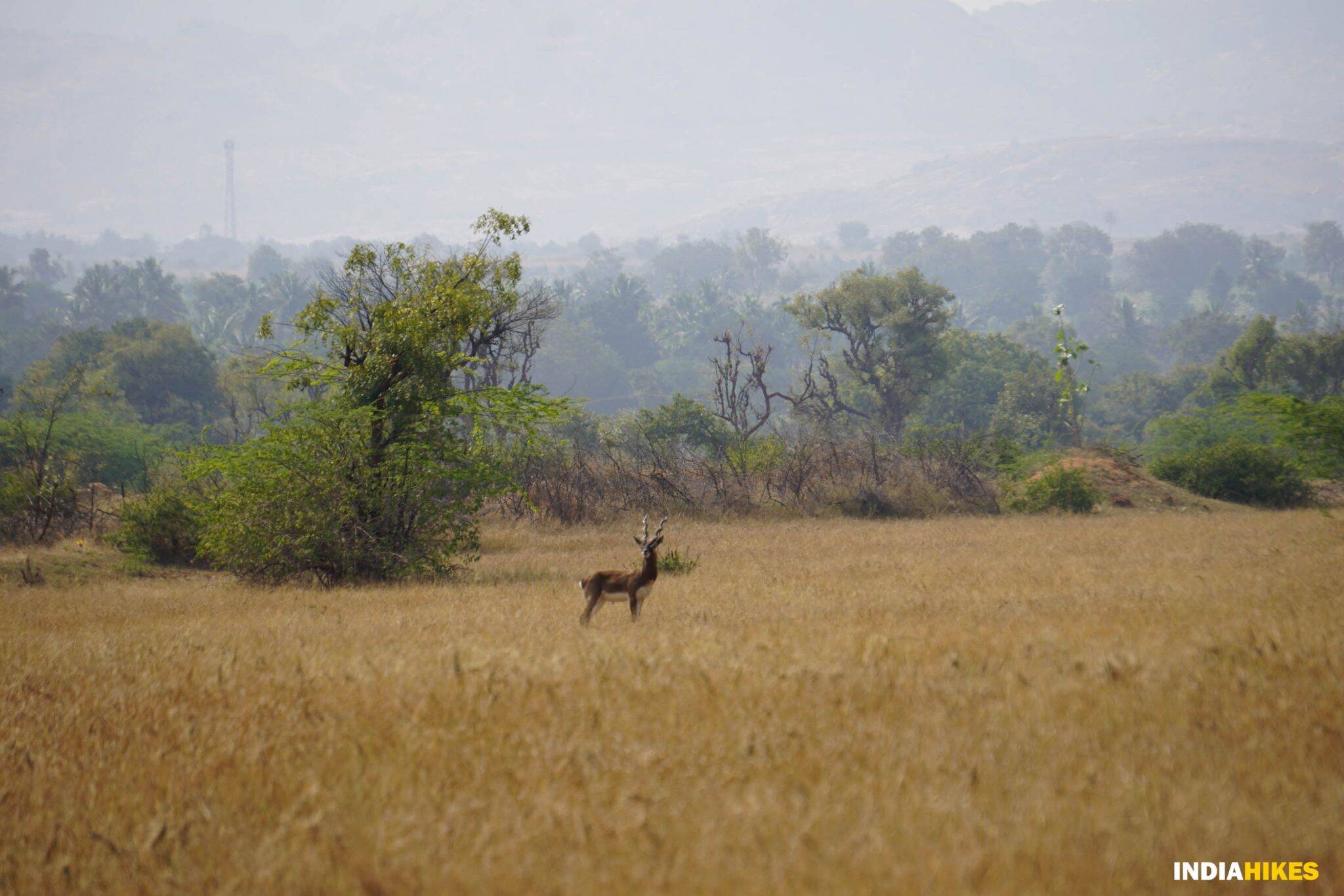 Channarayana Durga Trek