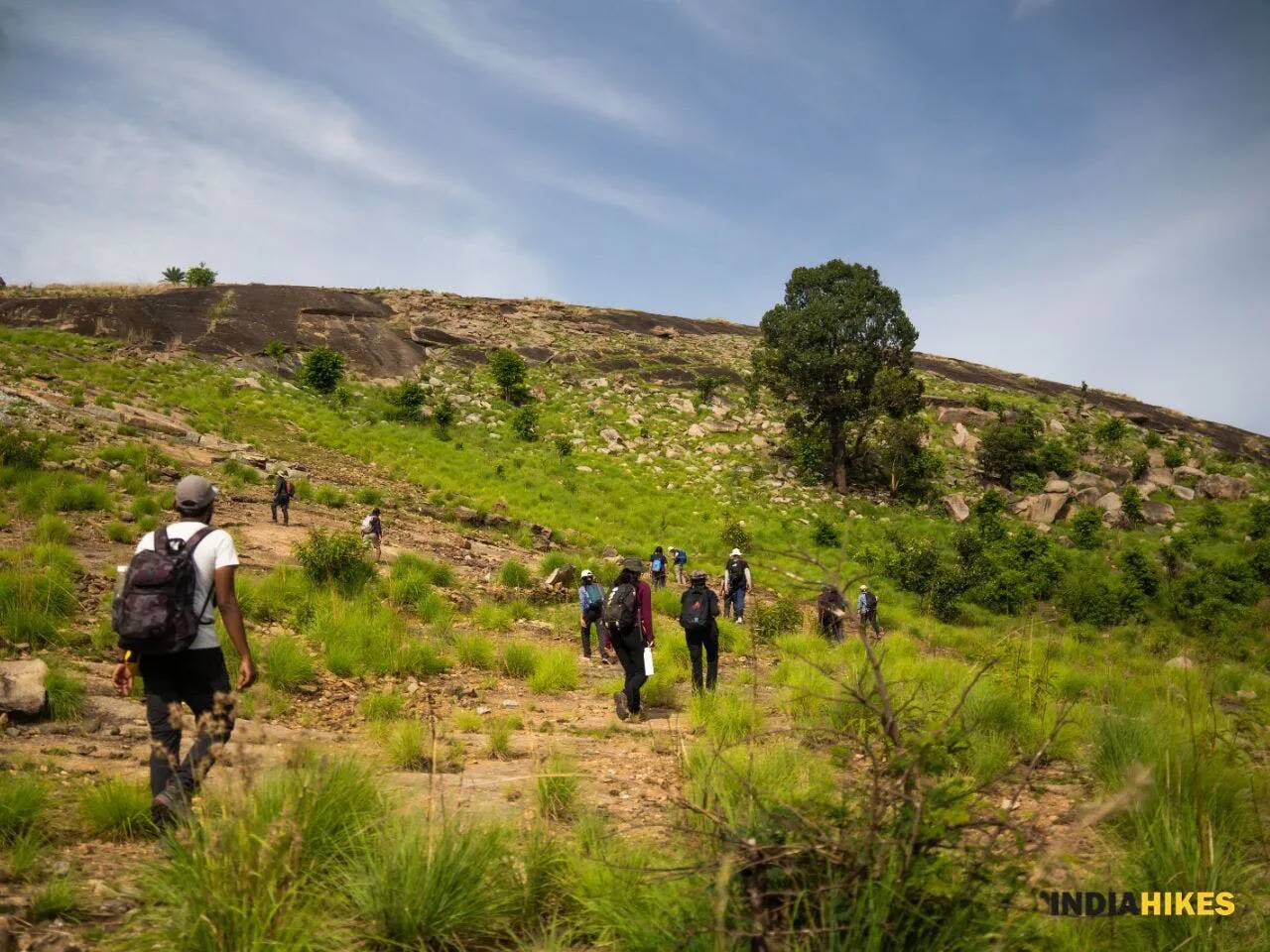 44 Best Treks to do in 2024