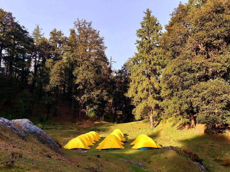 Deoban Weekend Trek 2024 - Indiahikes