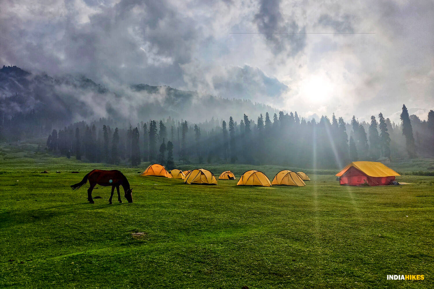 How The Bodpathri Trek In Kashmir Was Explored