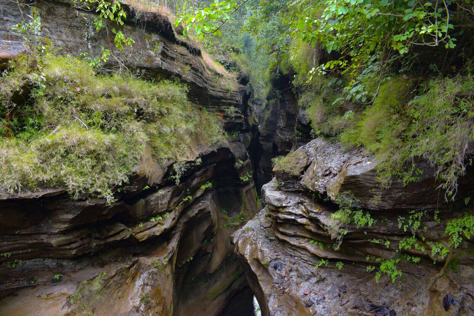 Patalkot Gorge Trek 2026 | Trek amidst the canyons of the Dudhi River ...