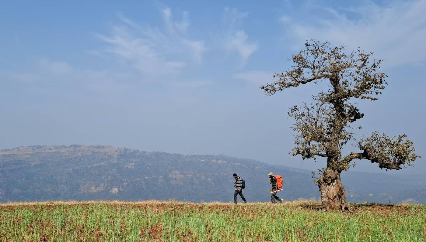 Patalkot Gorge Trek 2026 | Trek amidst the canyons of the Dudhi River ...