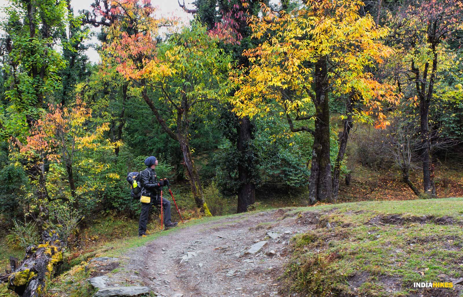What Do Treks Look Like In September, October and November? Find Out ...