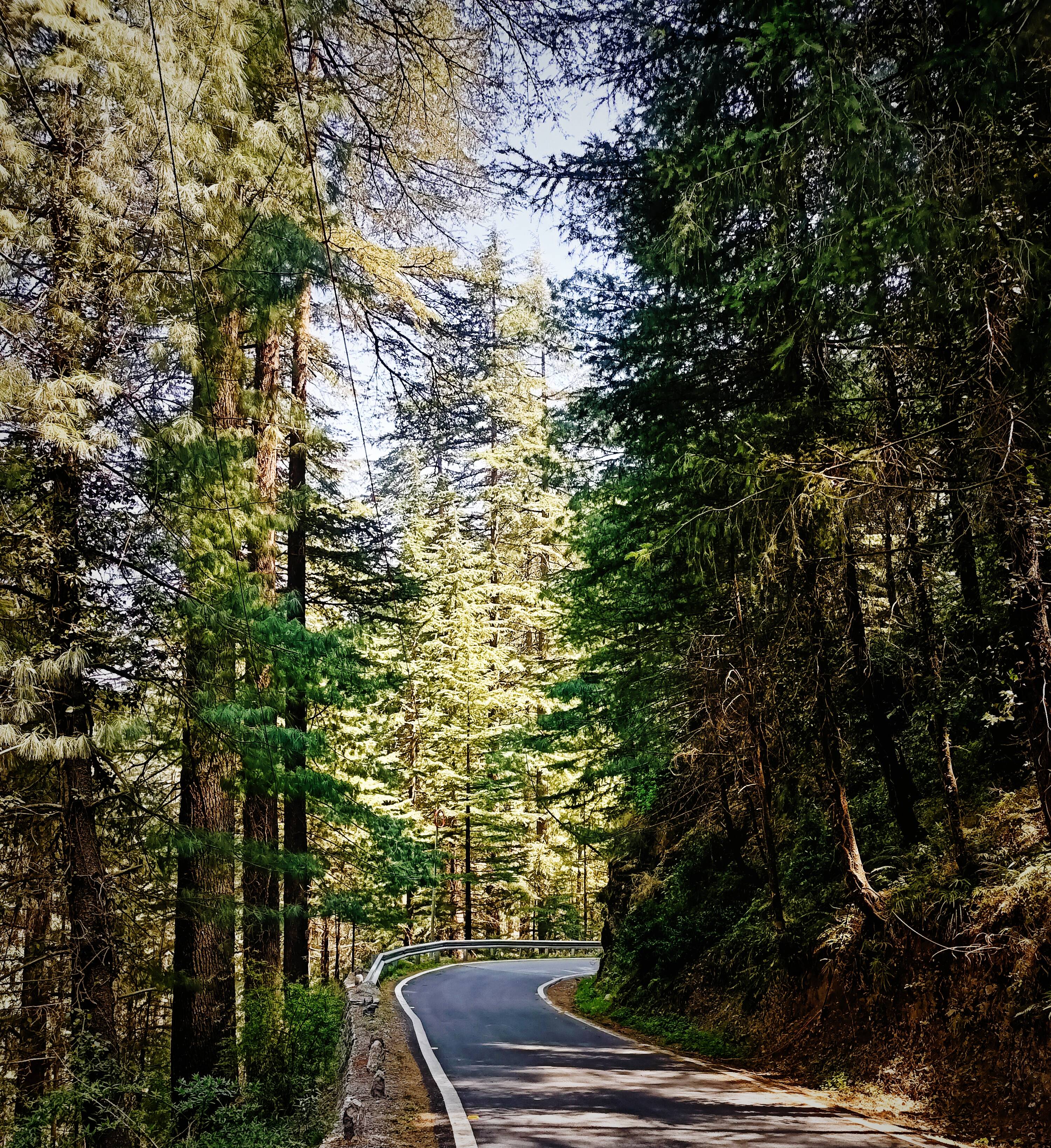Hanol Trek - A trek to experience the culture of Uttarakhand