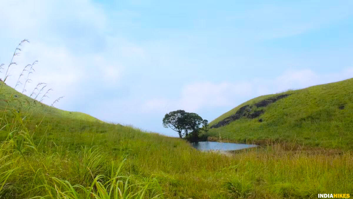 Chembra Peak Trek - Trek to the Heart-Shaped Lake in Kerala