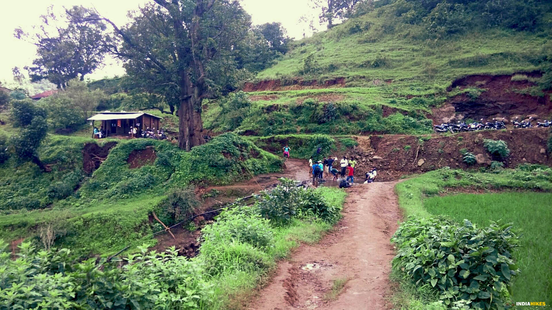 Kalsubai Peak Trek