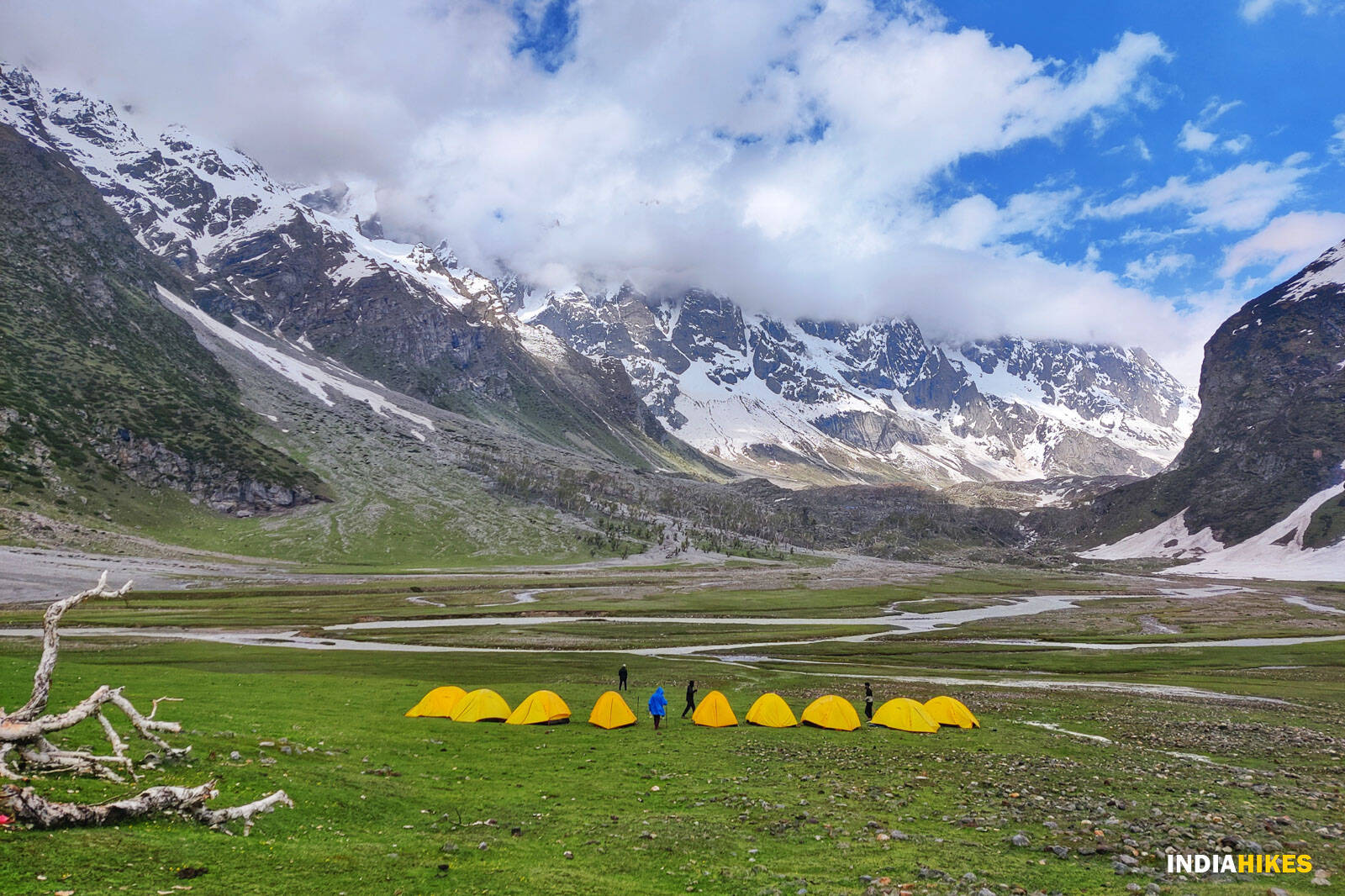#1 Celebrating India: The Best Meadows of India