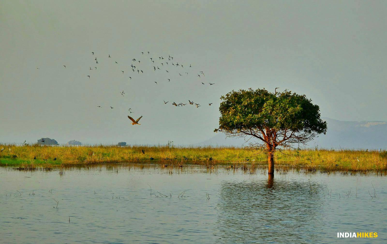 Odisha Debrigarh Sanctuary Trek 2025 | Itinerary, Best Times to Visit