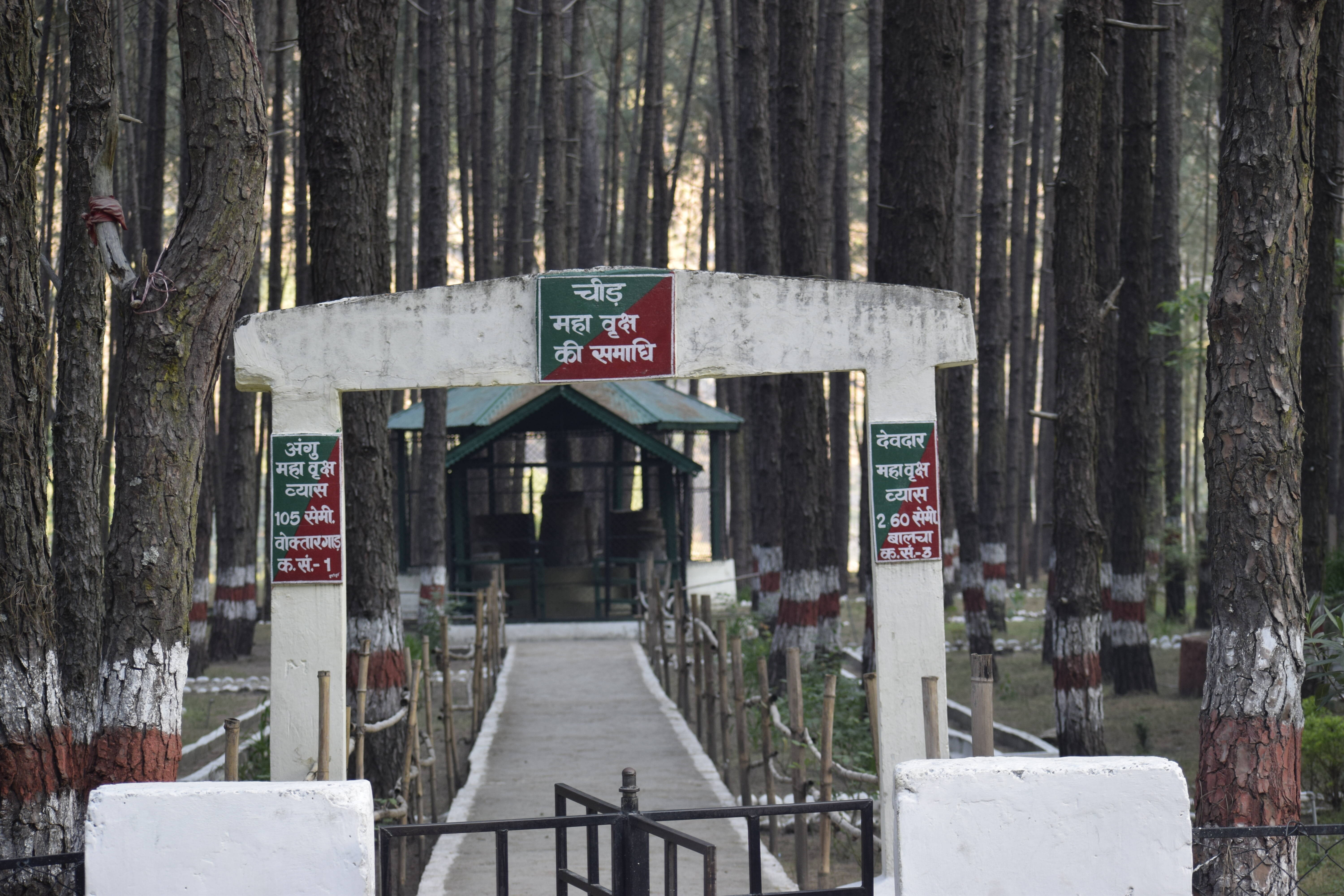 Hanol Trek - A trek to experience the culture of Uttarakhand