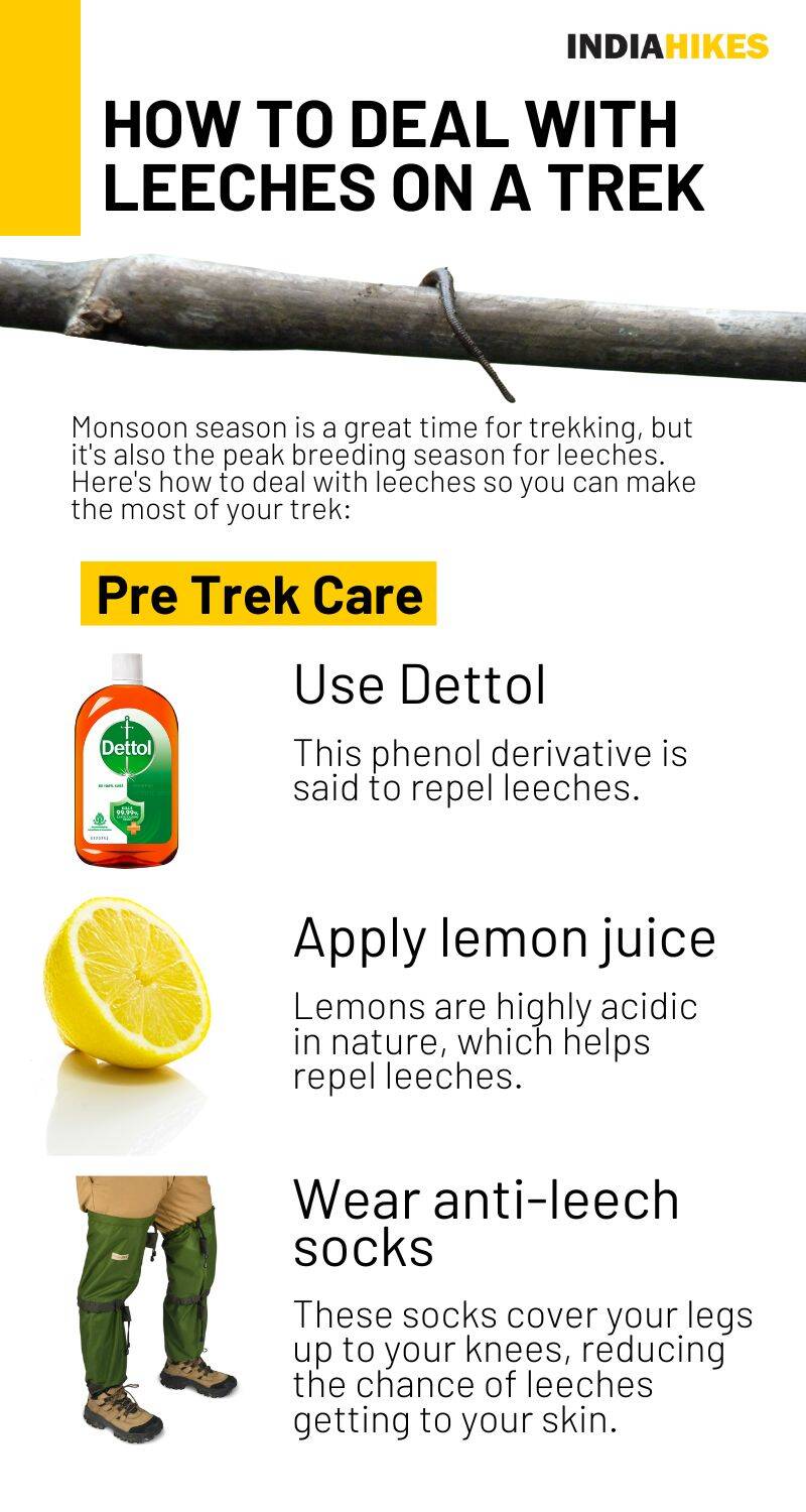 How To Handle Leeches On A Trek