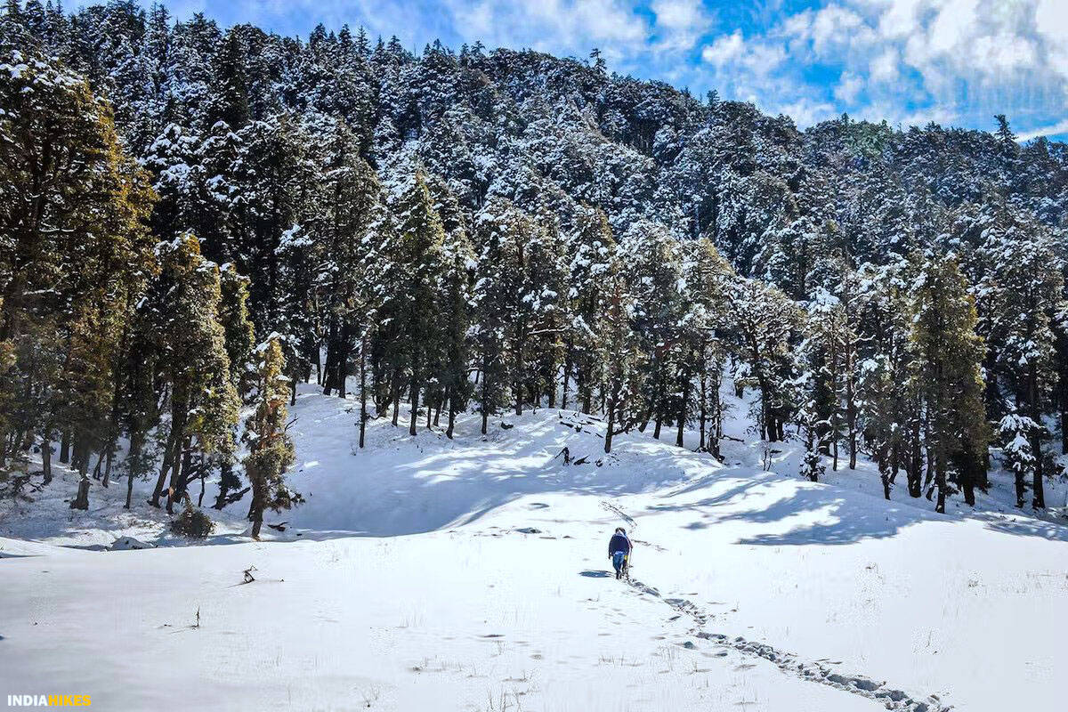 Winter Treks In India - Best Winter Treks For Beginners To See Snow ...