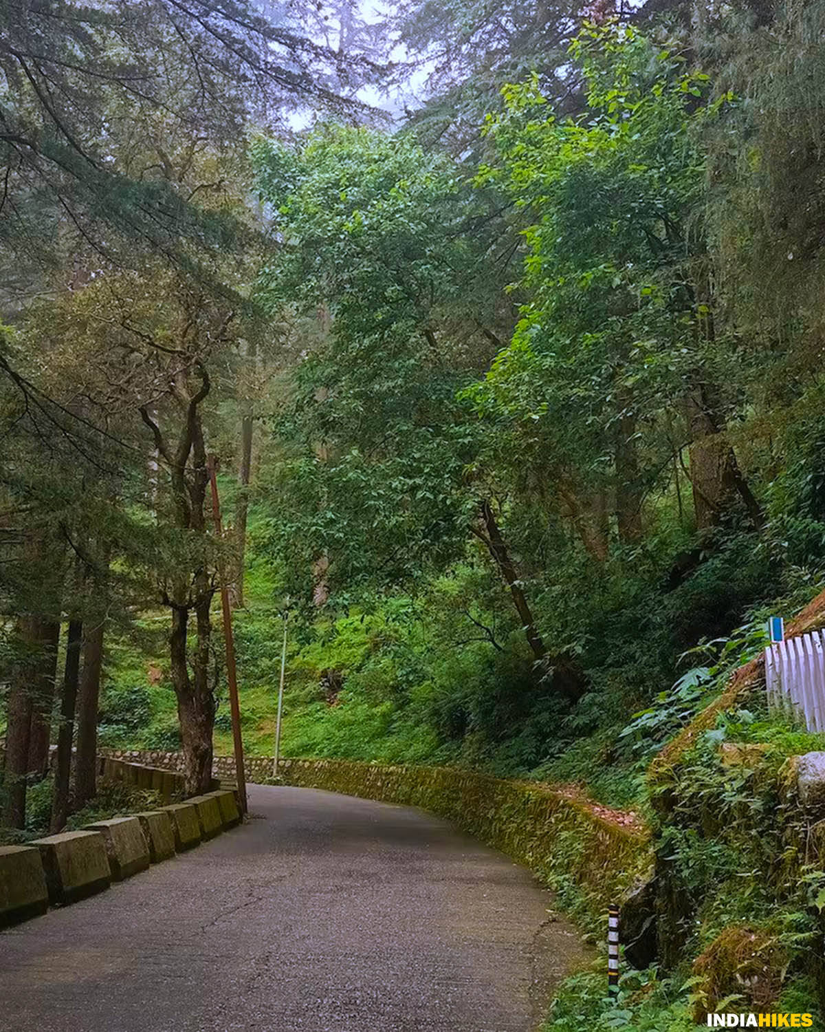 Landour – Lal Tibba Trek - Trek to the highest point of Mussoorie