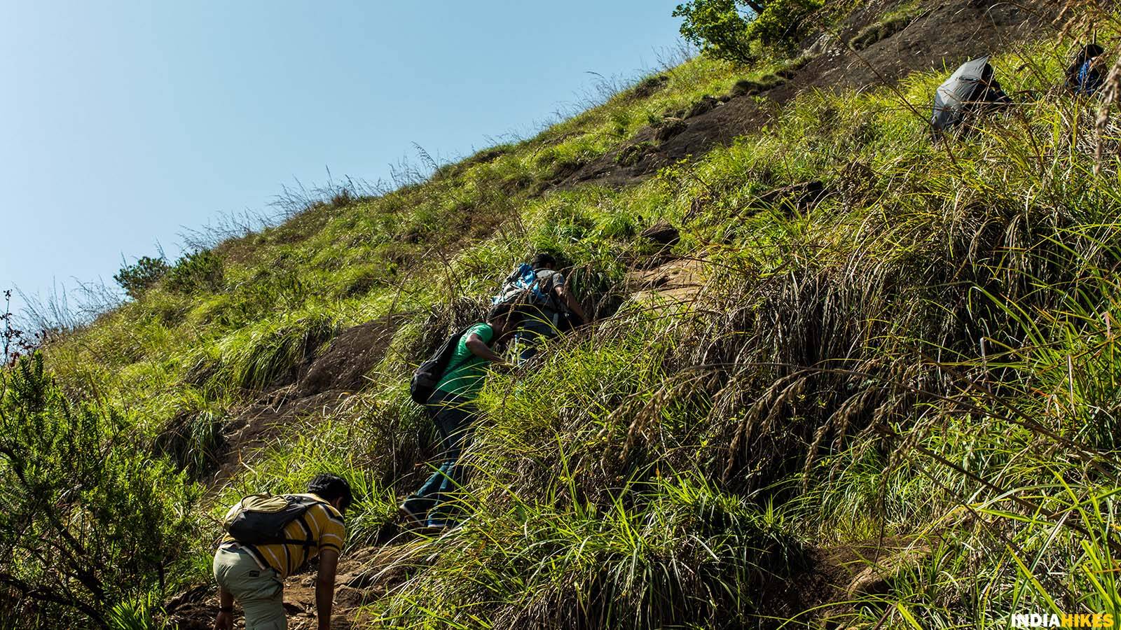 Chembra Peak Trek - Trek to the Heart-Shaped Lake in Kerala
