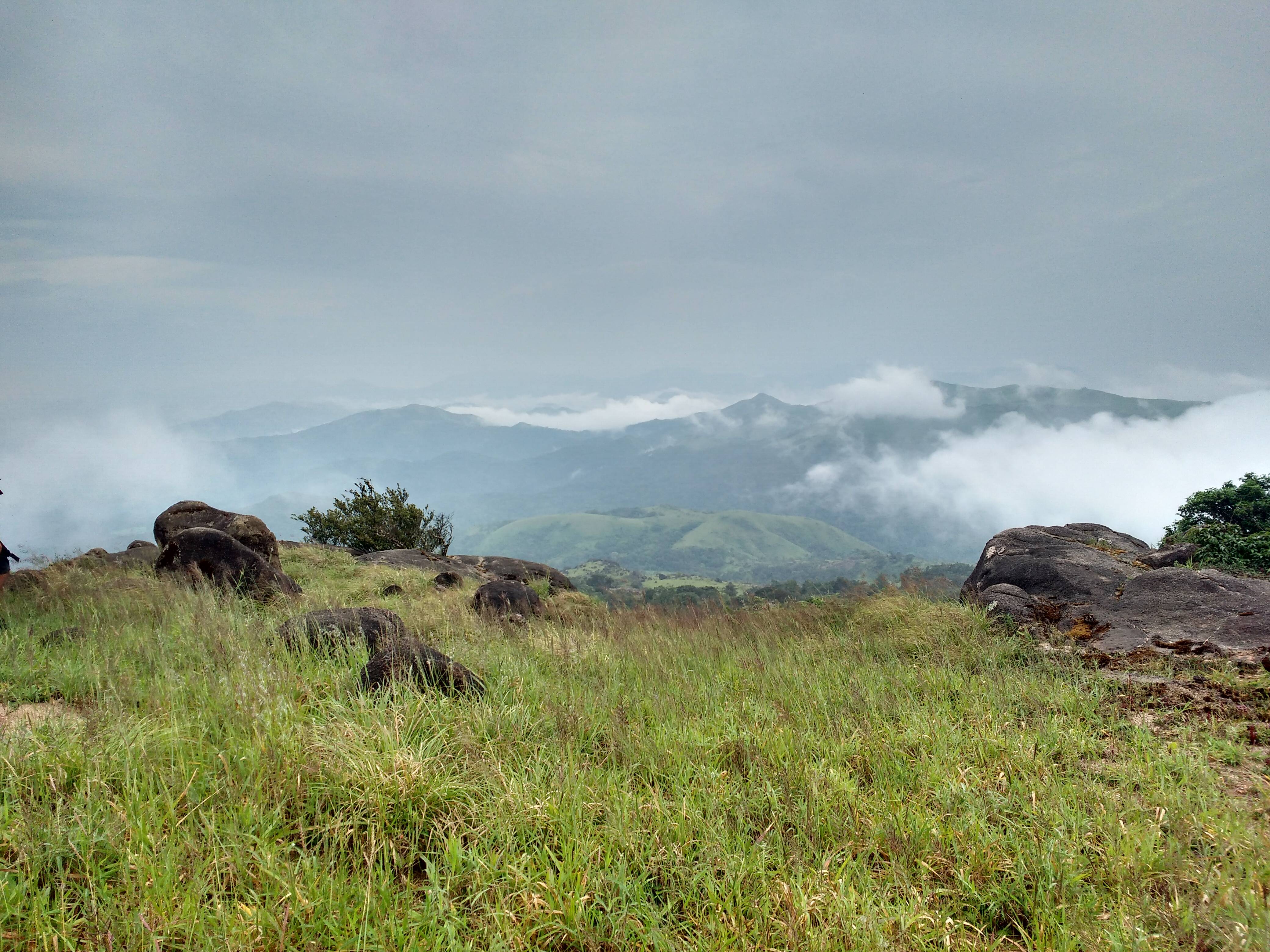 Narasimha Parvatha Trek - Trek to the highest peak in Agumbe