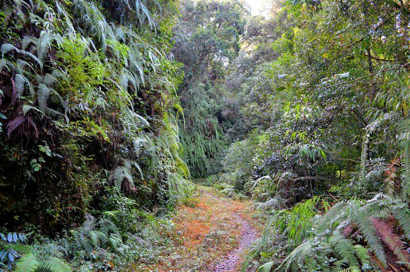 Talle Valley Trek