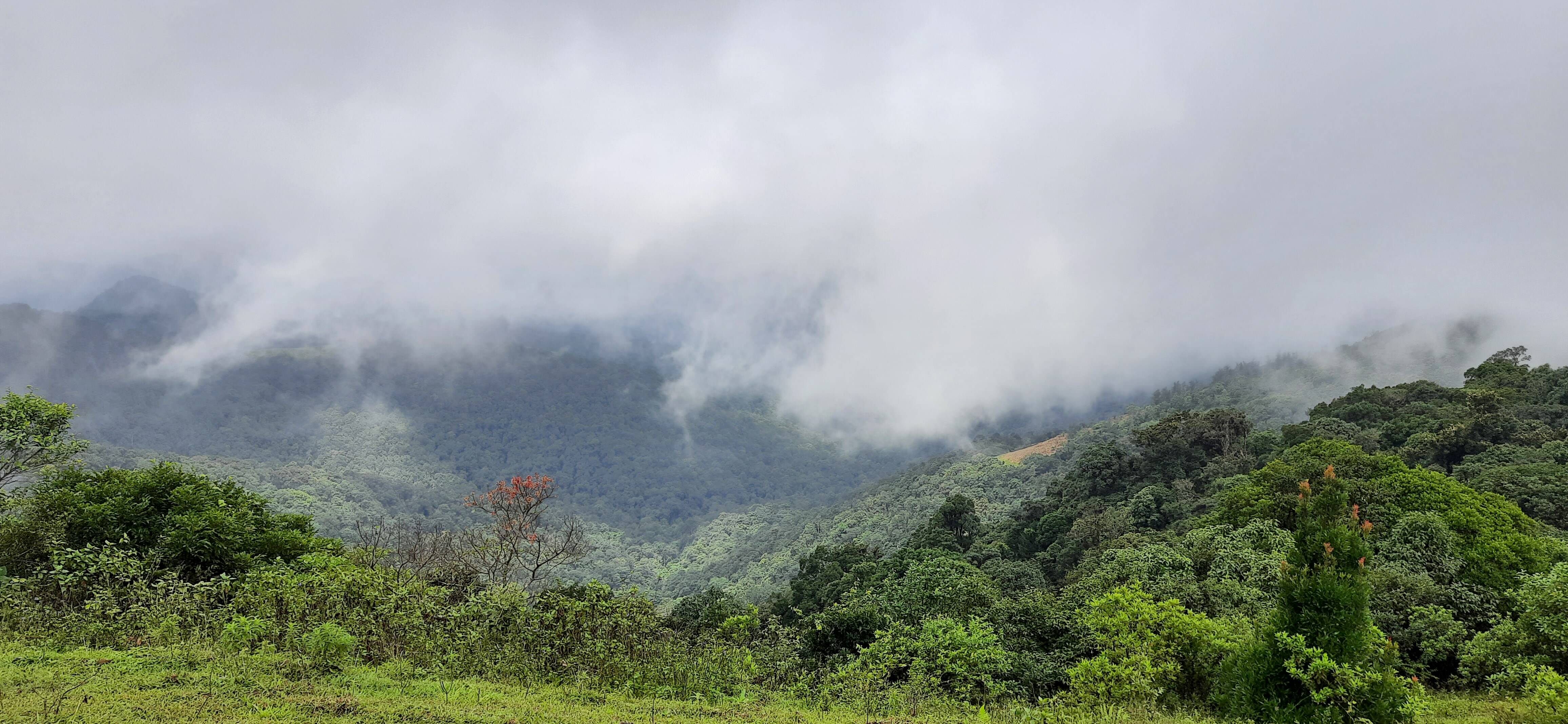 Trek to Breathtaking Views: 6 Must-Do Treks in Coorg