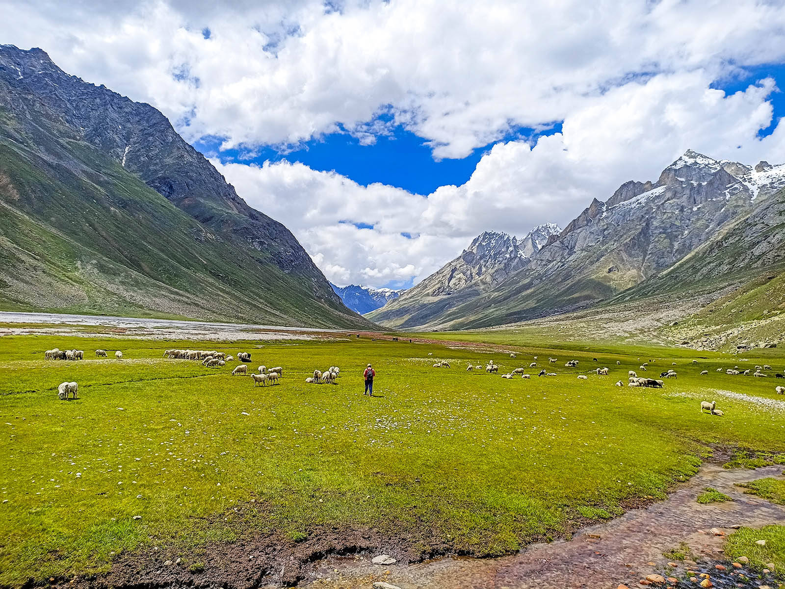 Miyar Valley 2024 - The Trek that takes you to the Heart of Lahaul ...