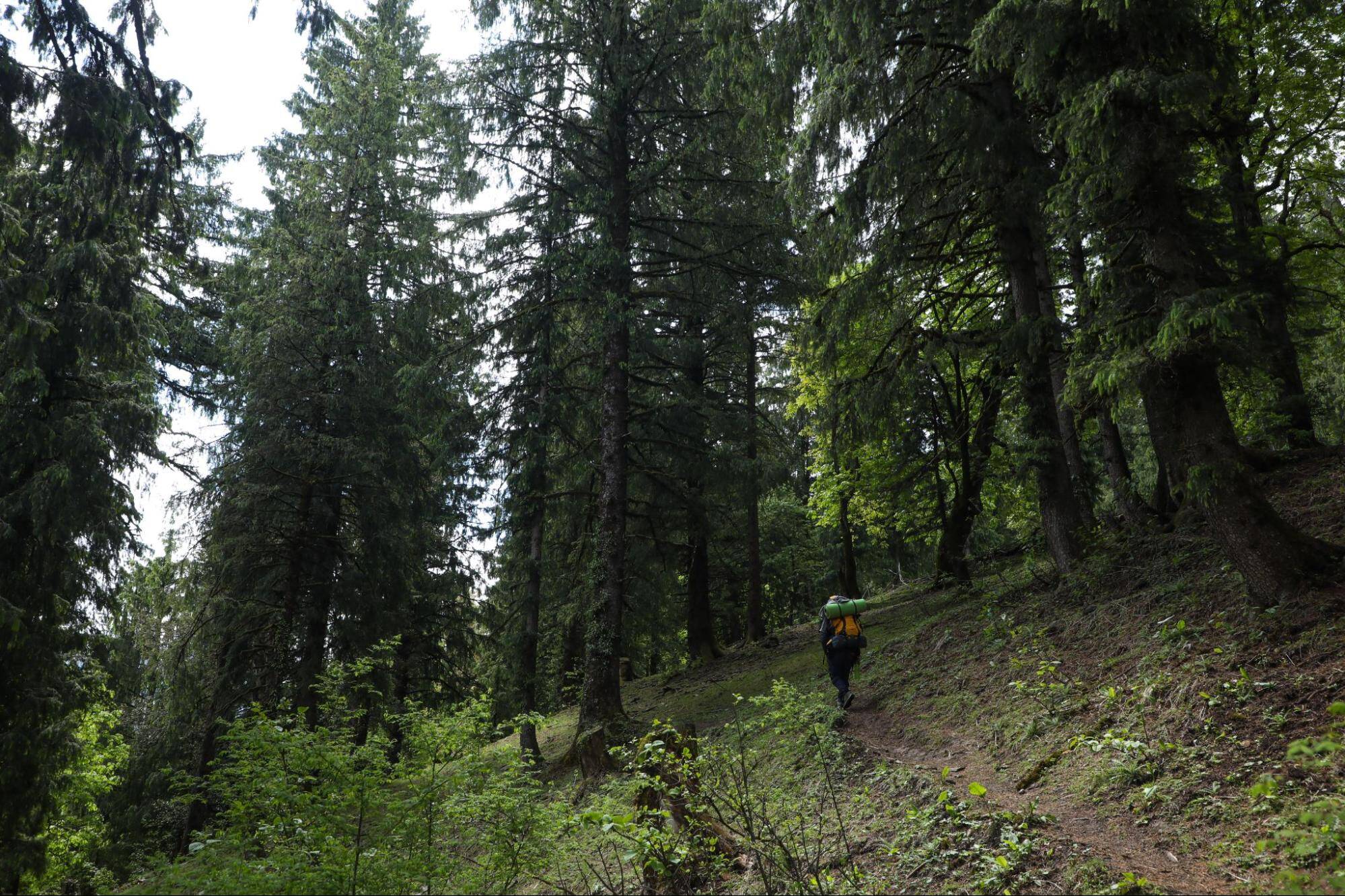 Manali Kaisdhar Trek 2024 - An ideal trek for beginners and family