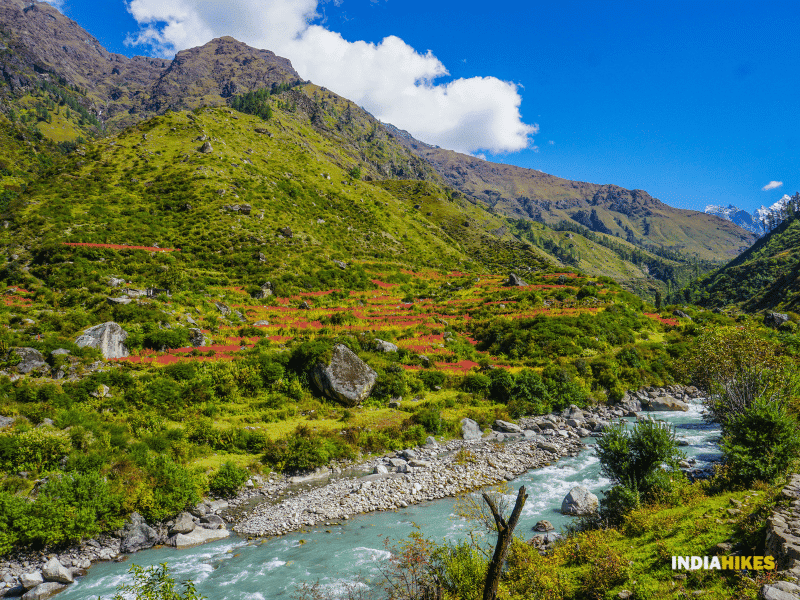 15 Rare Spring Photos of Har Ki Dun-Ruinsara Valley trek