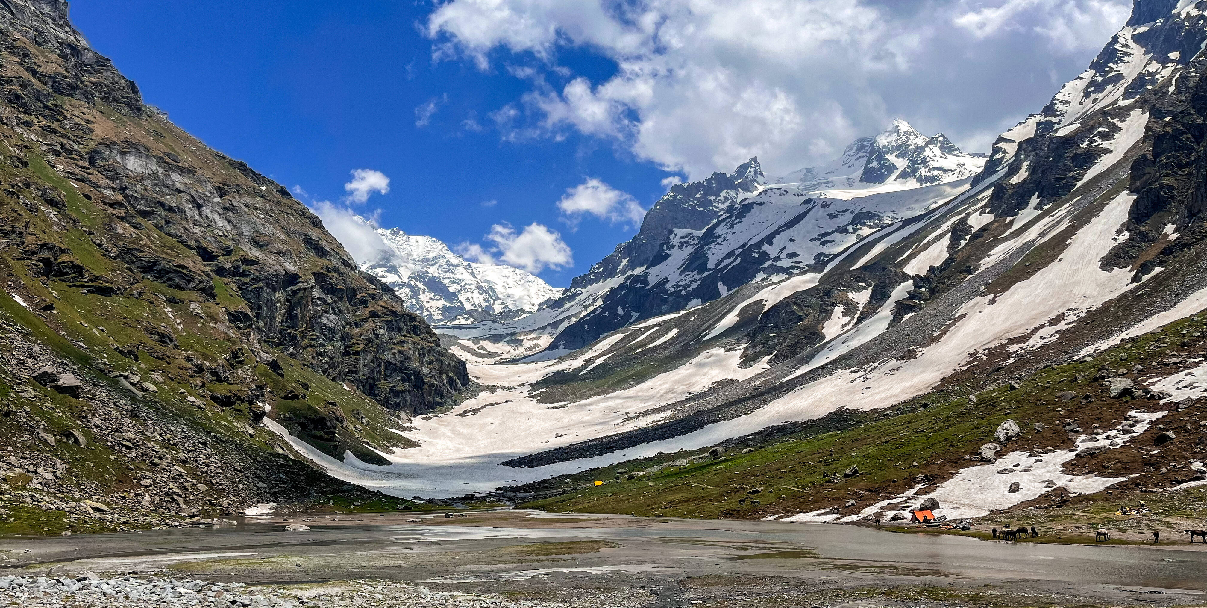 june photo contest 2022