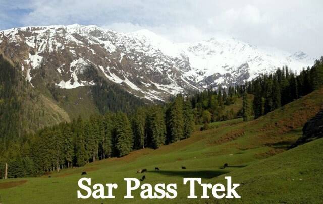 Sar Pass Trek - An ideal Himalayan trek for beginners
