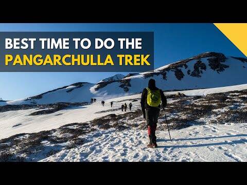 Pangarchulla Peak 2024 - A Challenging Summit Climb High on Adventure ...