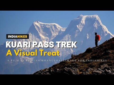 Kuari Pass Trek 2024 - Treks In Uttarakhand - Indiahikes